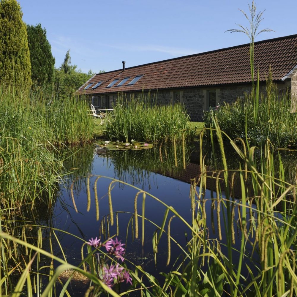 Ponds | Pond Design | Garden Ponds | Freshwater Features | Water Gems