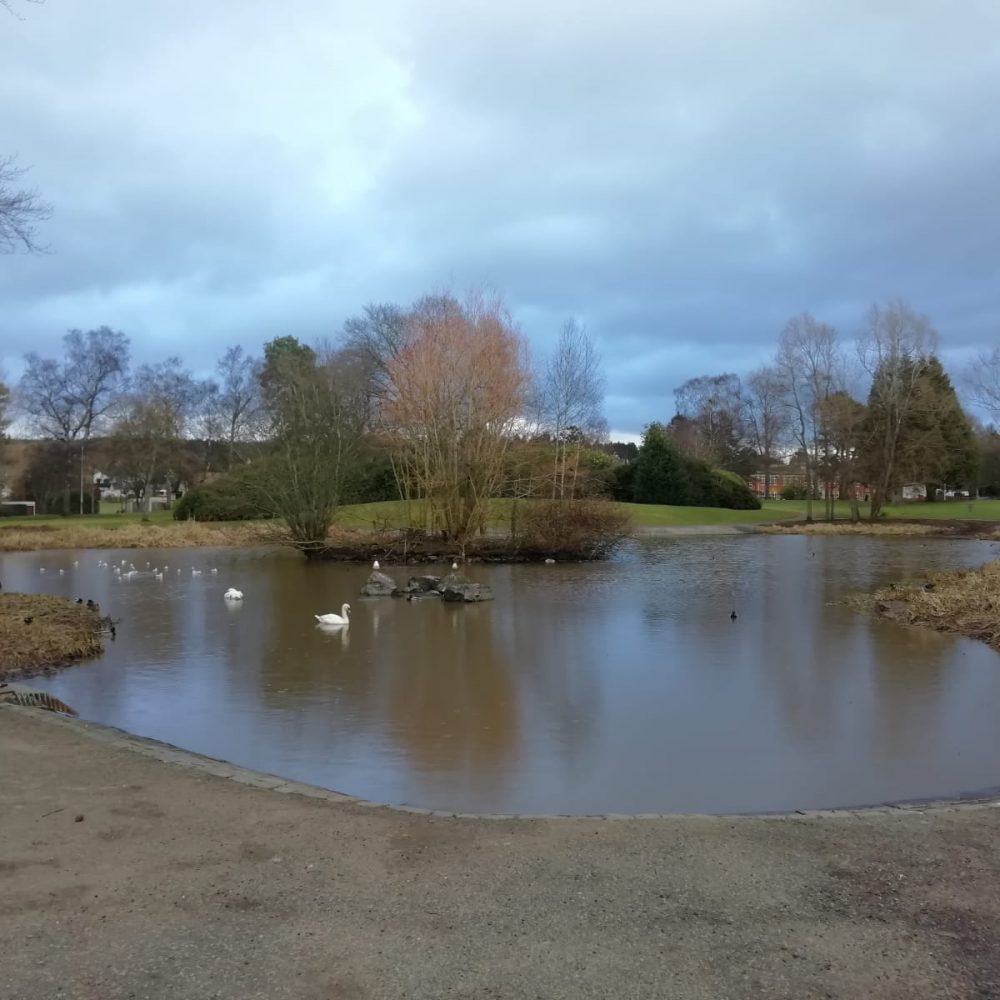 Lake & Loch Management | Freshwater | by Water Gems