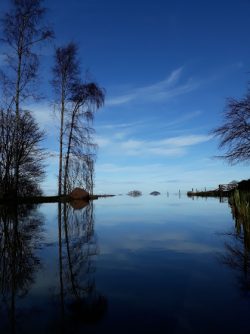 Ponds | Garden Ponds | Freshwater Features | Water Gems