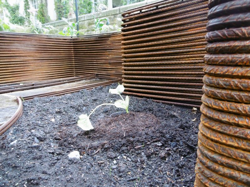 Rebar Vegetable Enclosure | News | Gardens by Water Gems