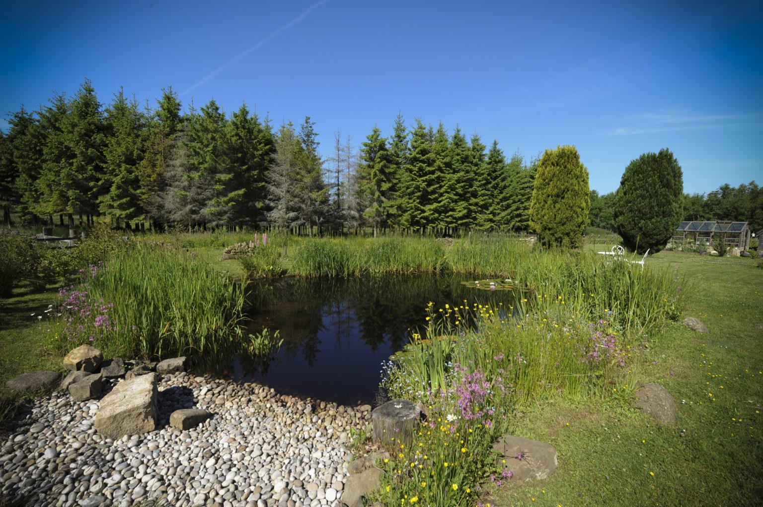 Biodiversity | Gardens by Water Gems