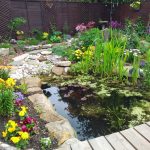 Ponds | Garden Ponds | Freshwater Features | Water Gems